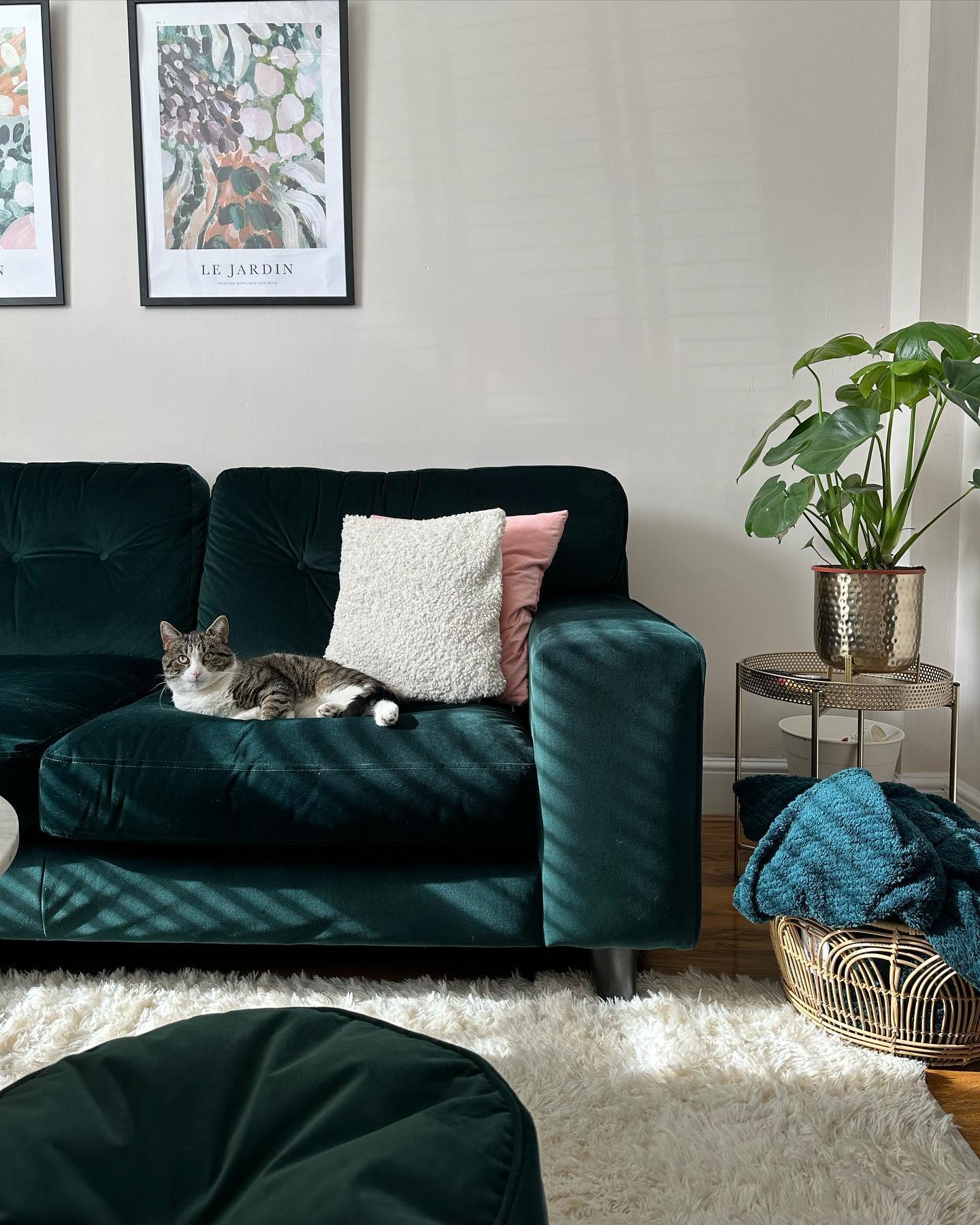 Java dfs sofa store