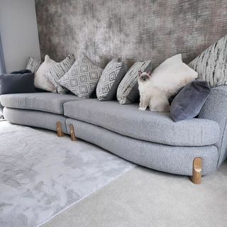 Bellino Boucle Formal Back 2 Seater Sofa | DFS